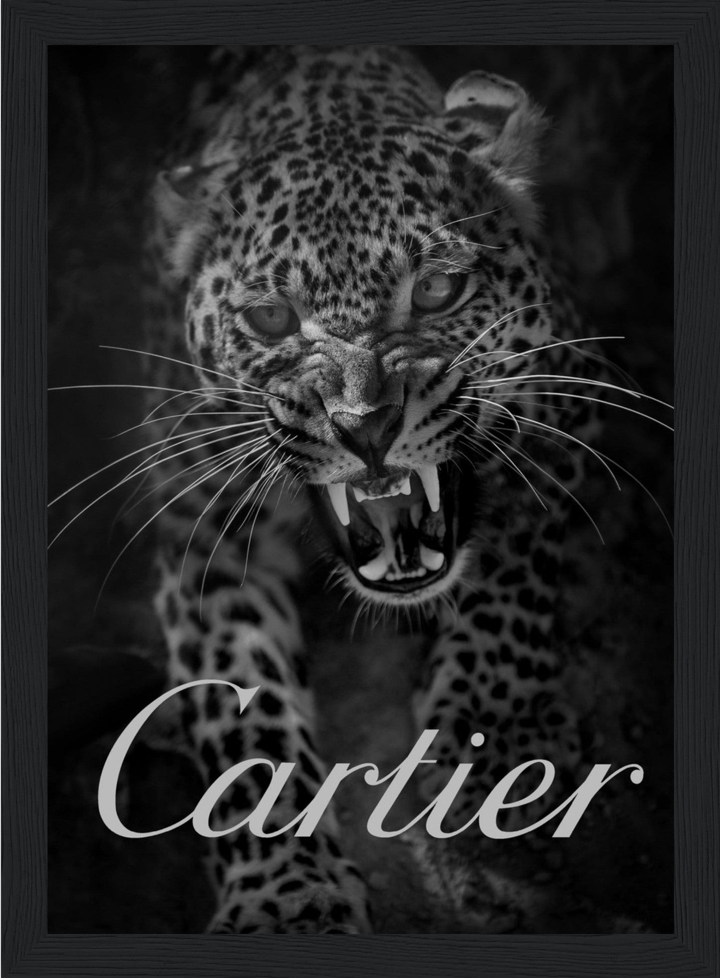Cartier - Leopard - Poster – Posters-4u